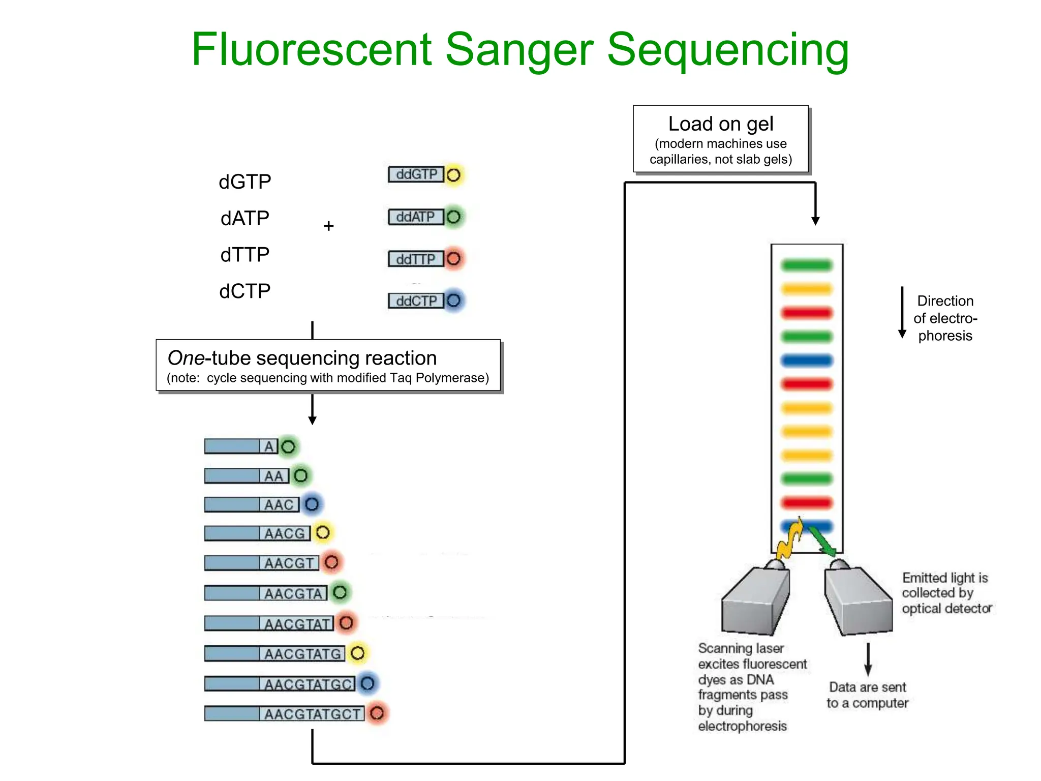 01-Sequencing_Technologies (1).ppt for education | PPT | Computer ...