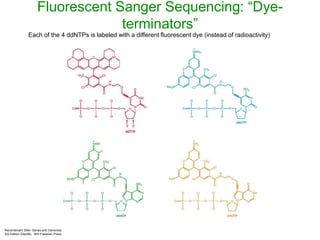 01-Sequencing_Technologies (1).ppt for education | PPT