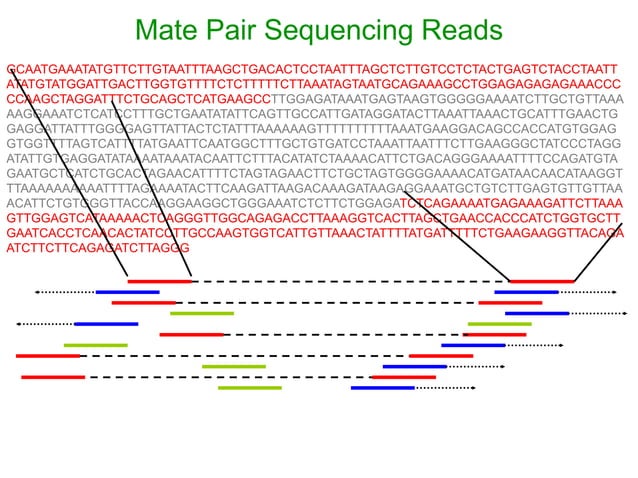 01-Sequencing_Technologies (1).ppt for education | PPT | Computer Software and Applications ...