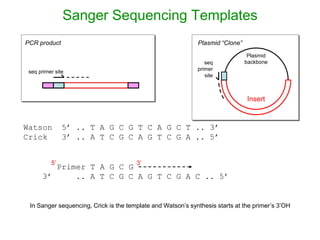 01-Sequencing_Technologies (1).ppt for education | PPT