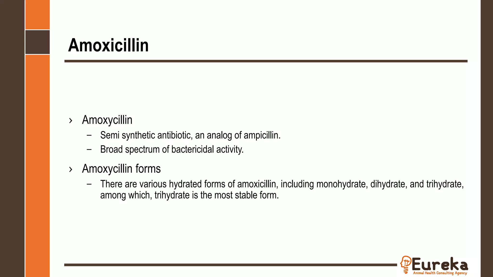 Amoxicillin product-information | PPTX