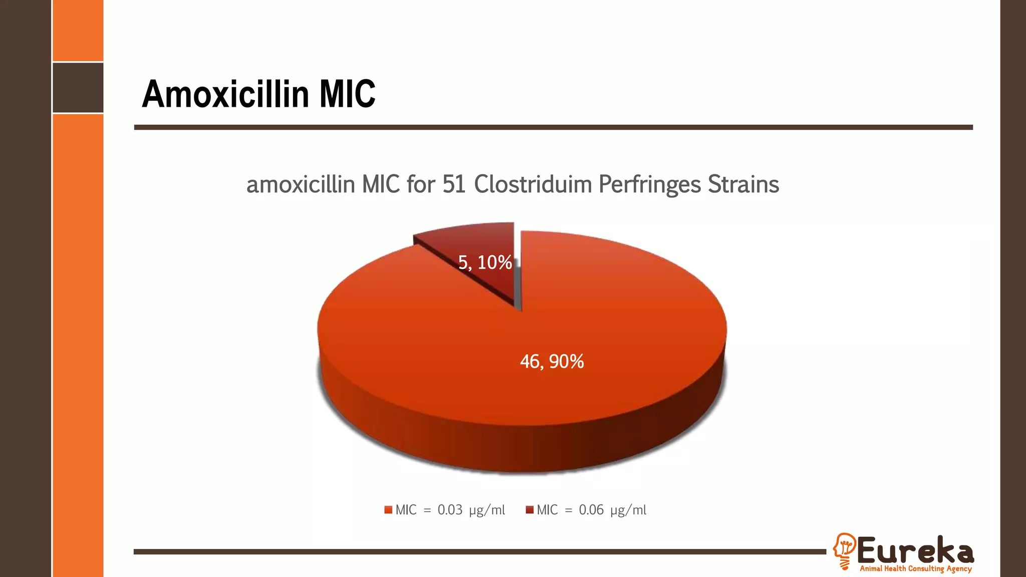 Amoxicillin product-information | PPTX
