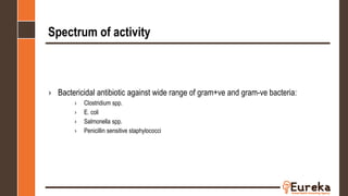Amoxicillin product-information | PPTX