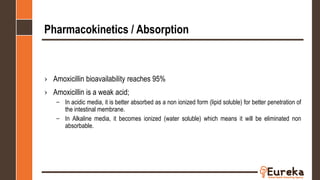 Amoxicillin product-information | PPTX