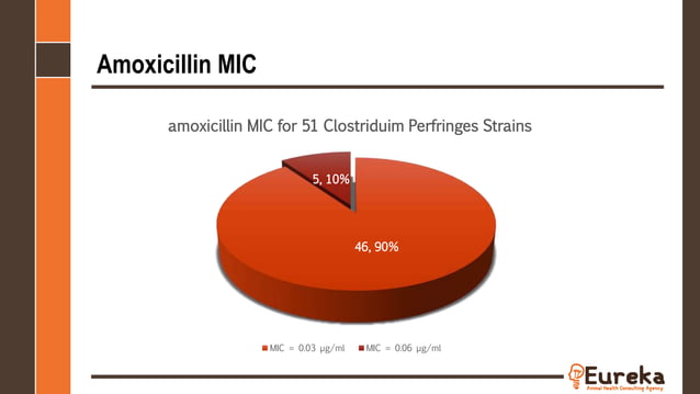 Amoxicillin product-information | PPTX | Infectious Diseases | Diseases ...