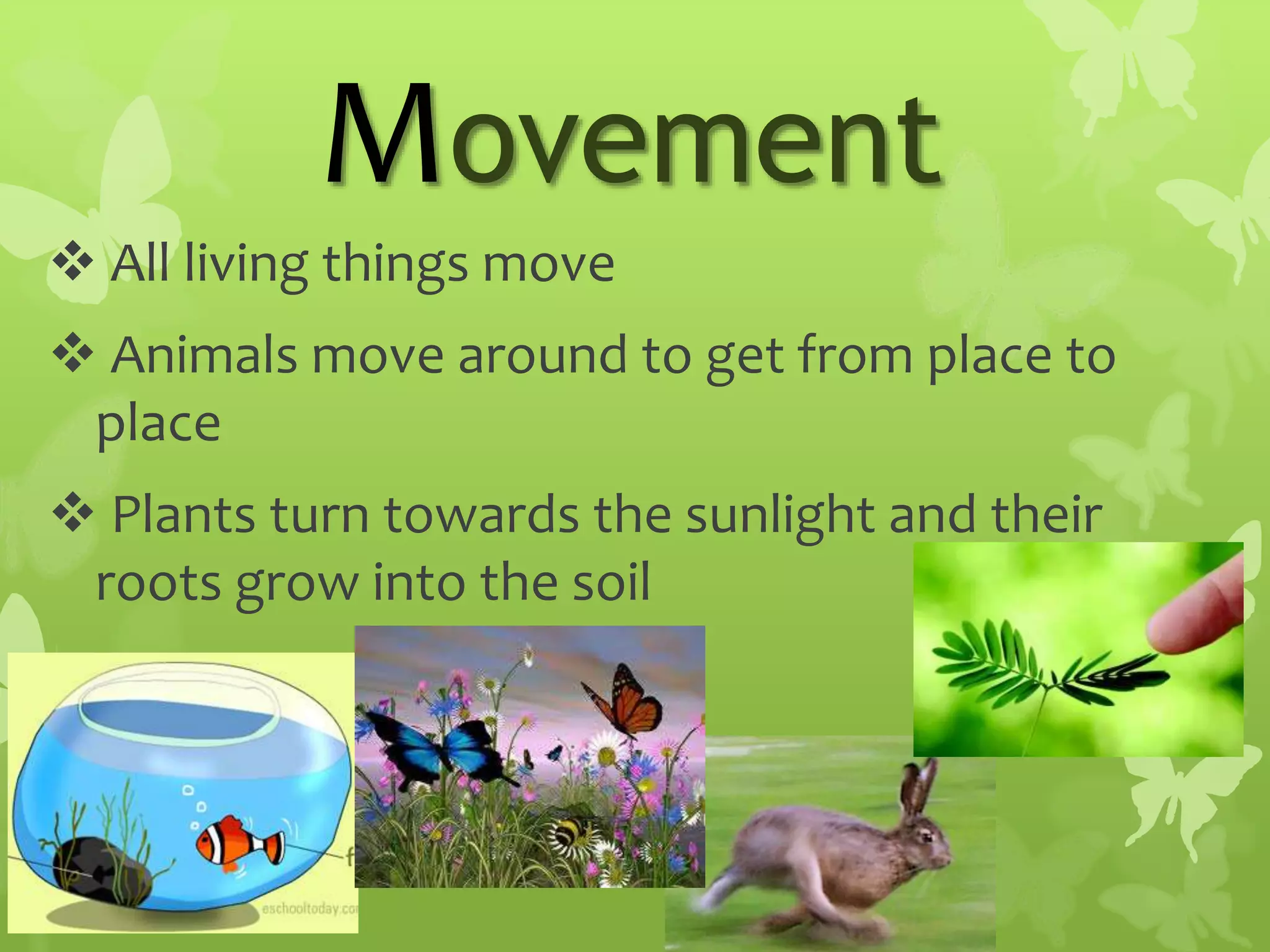 Adventures of MRS GREN: The Characteristics of Life | PPTX