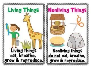 Adventures of MRS GREN: The Characteristics of Life | PPTX