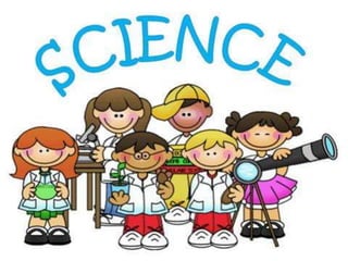 Life Science Clipart For Kids