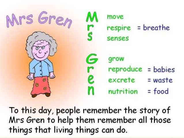 Adventures of MRS GREN: The Characteristics of Life