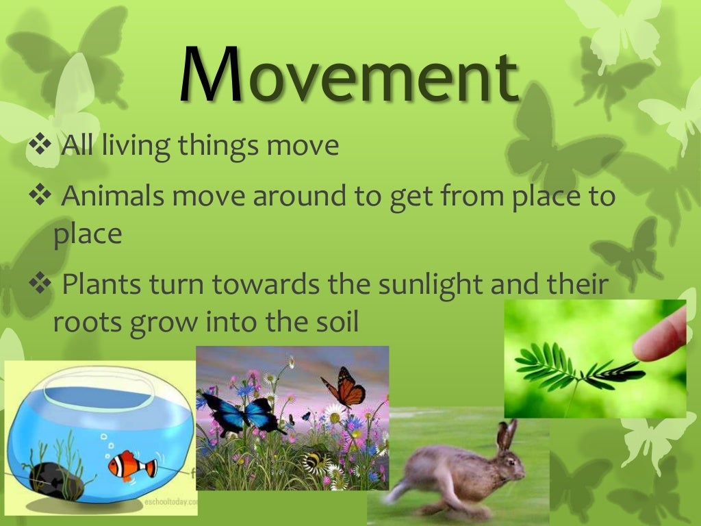 Adventures of MRS GREN: The Characteristics of Life