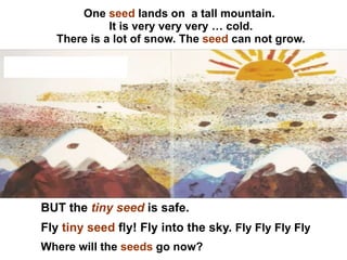 The Tiny Seed | ODP