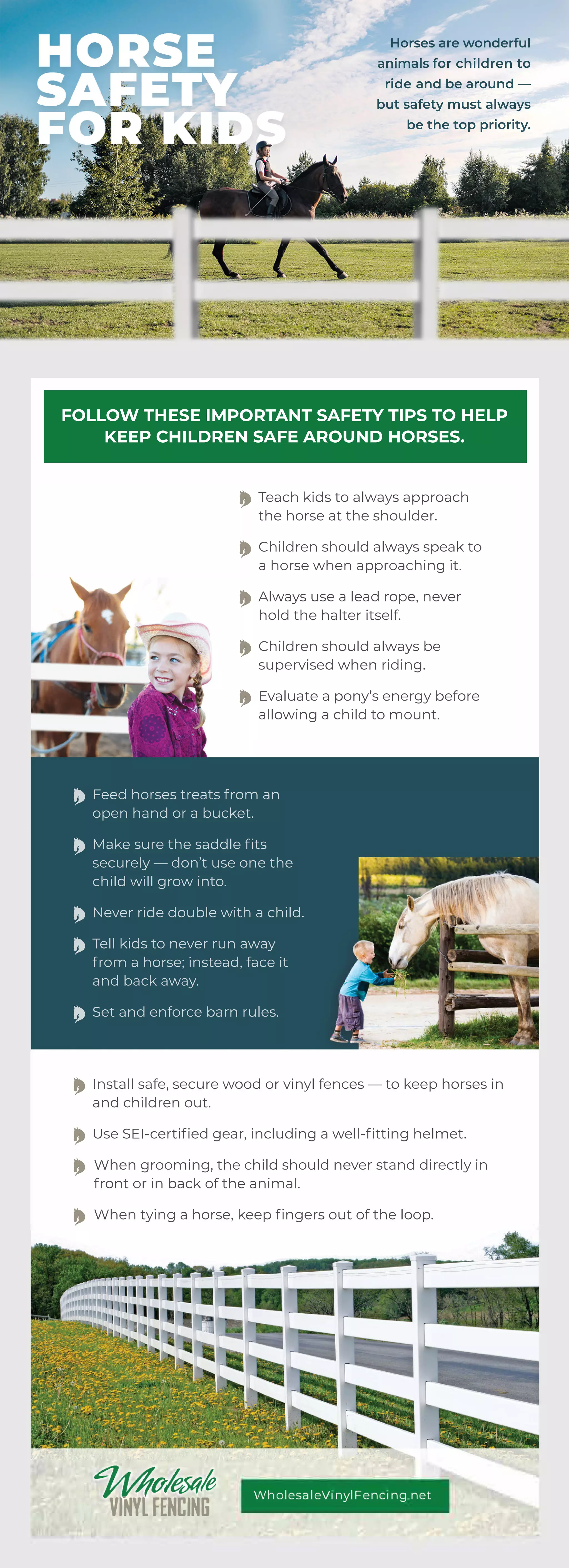 Horse Safety For Kids | PDF