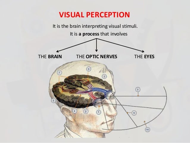 01 visual perception