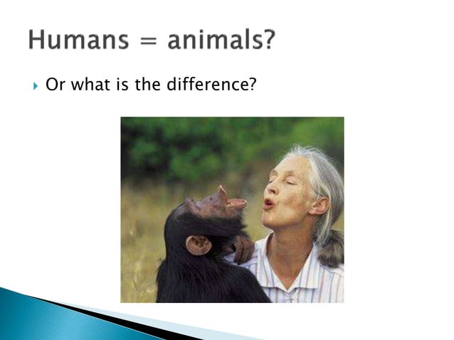 1-week-Animals-in-Human-Society | PPT