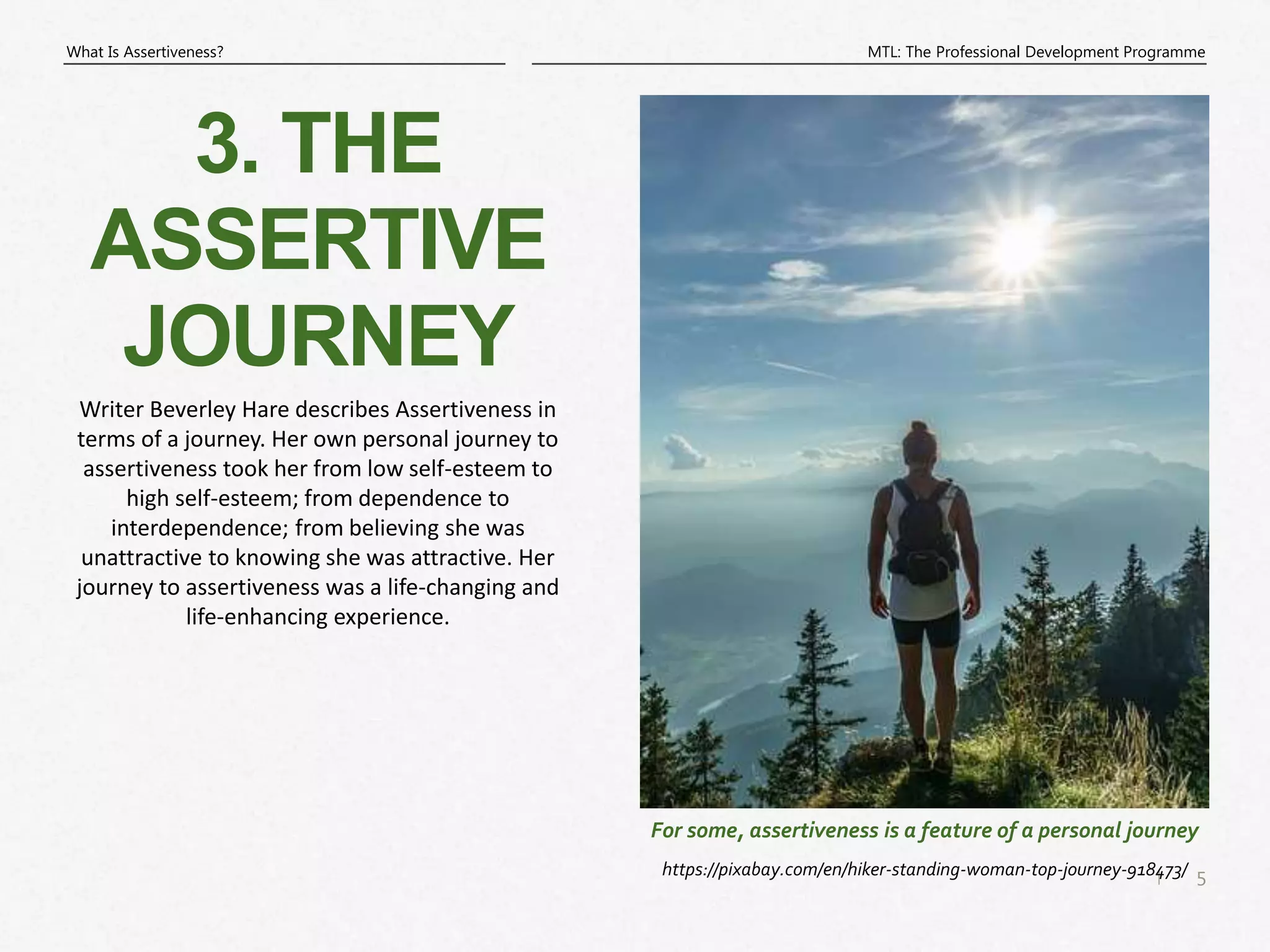 What Is Assertiveness? | PPTX