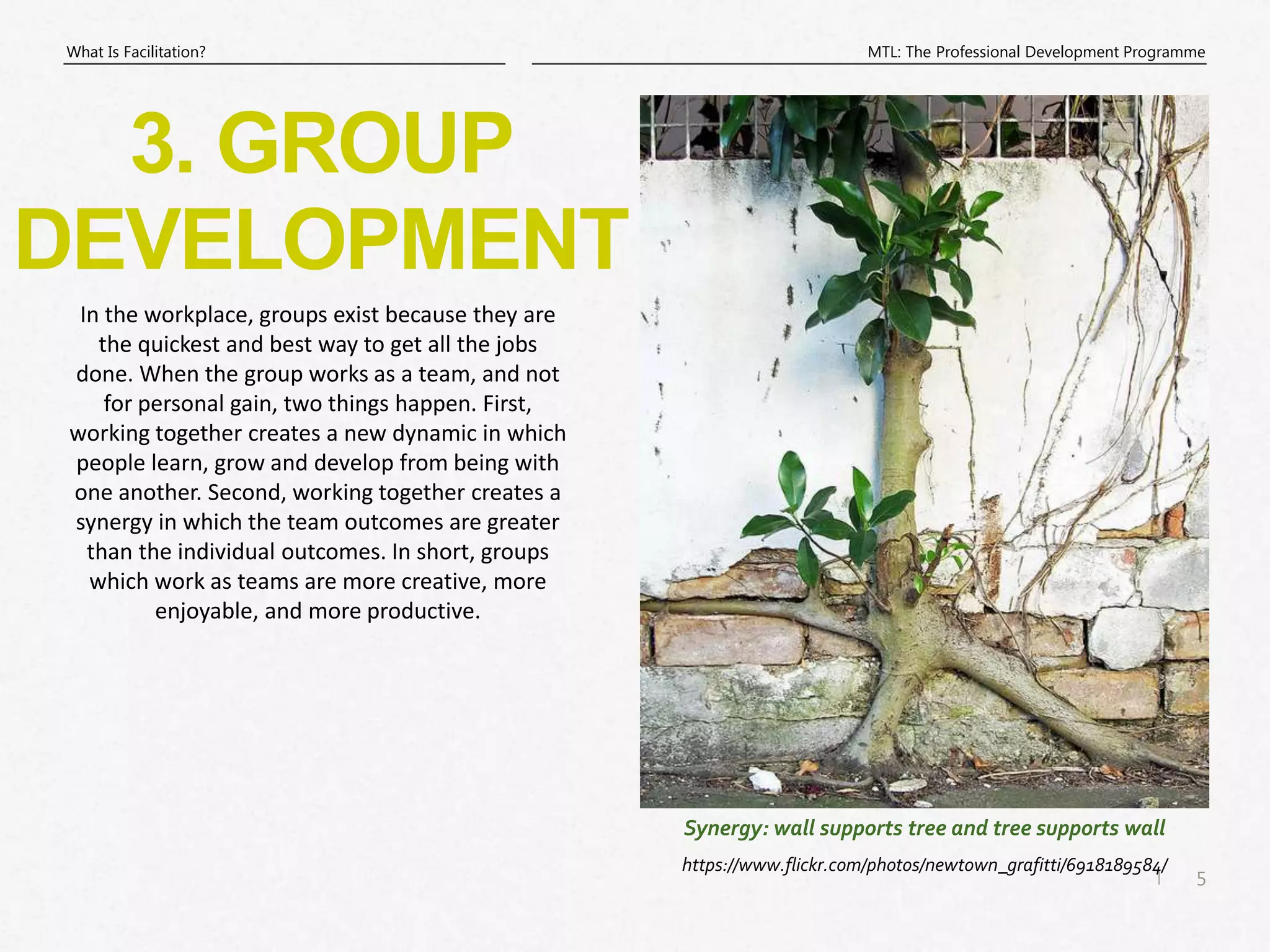 What Is Facilitation? | PPTX