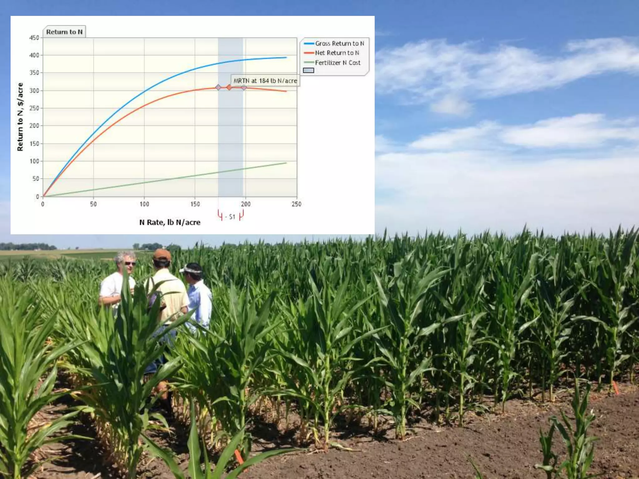 Integrating Soil Carbon Stabilization Concepts and Nitrogen Cycling | PPTX