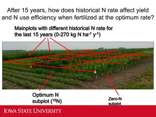 Integrating Soil Carbon Stabilization Concepts and Nitrogen Cycling | PPTX