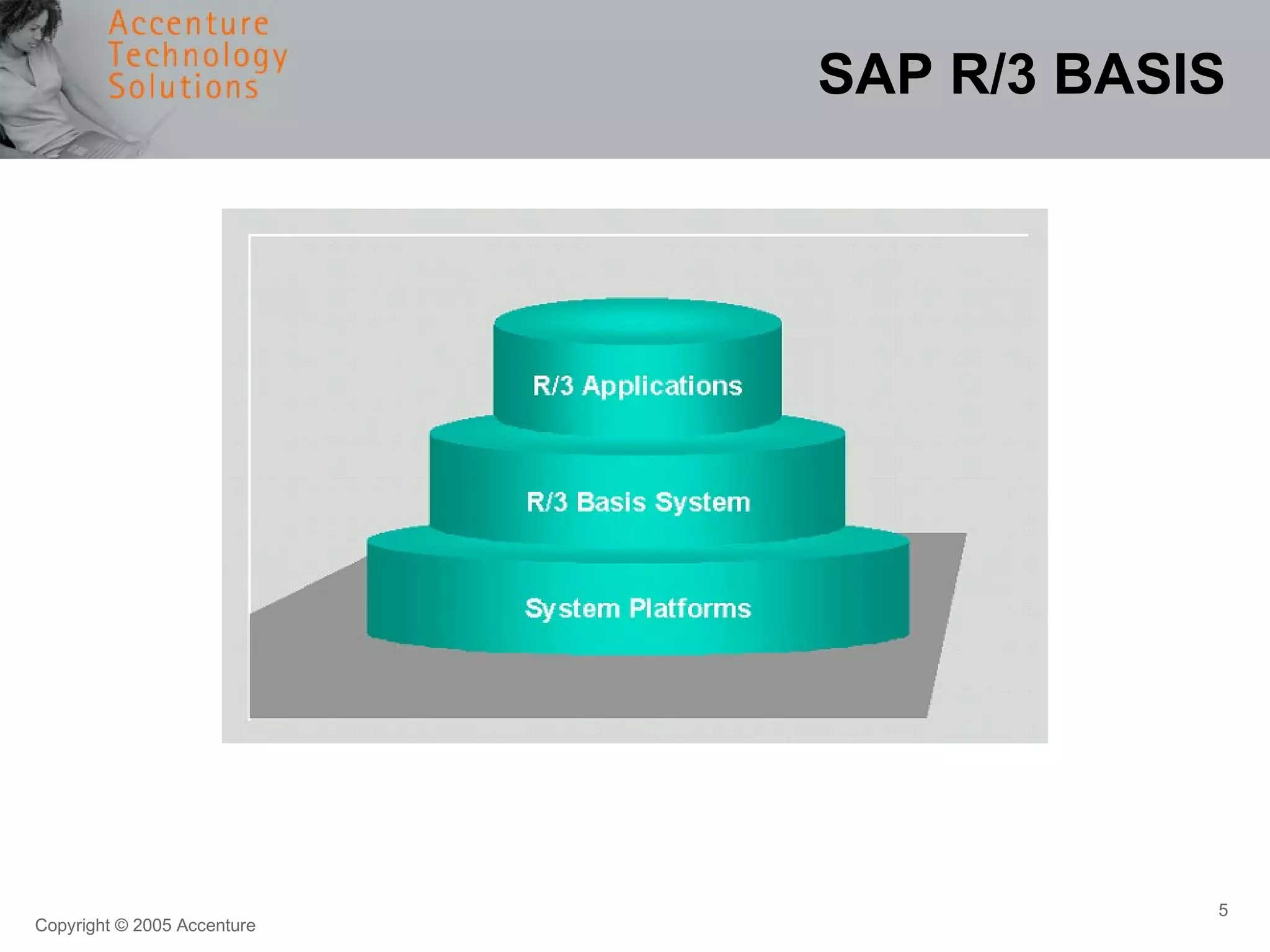 0101 sap introduction | PPT | Programming Languages | Computing