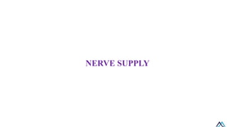 01 02 03 Male Reproductive System / Male Reproductive System.pdf