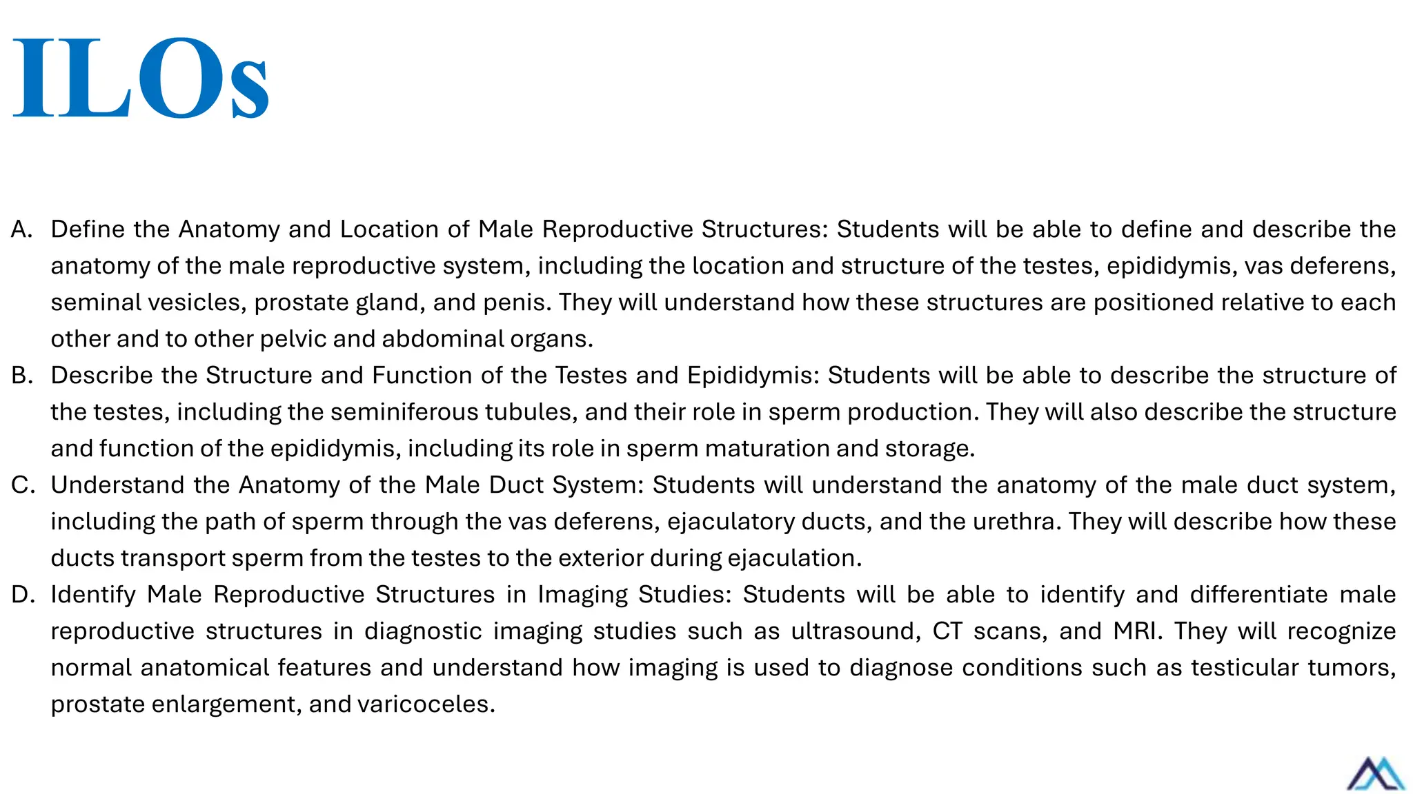 Male Reproductive System / Male Reproductive System.pdf