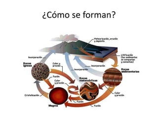 Rocas y fósiles | PPTX