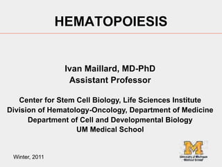 01.03.11: Hematopoieses | PDF