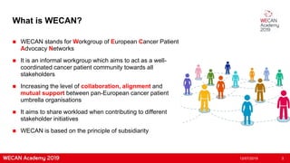 0103 Ananda Plate - Welcome to the WECAN Academy - and advocacy ...