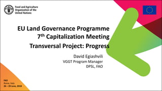 EU Land Governance Programme 7th Capitalization Meeting - Transversal ...