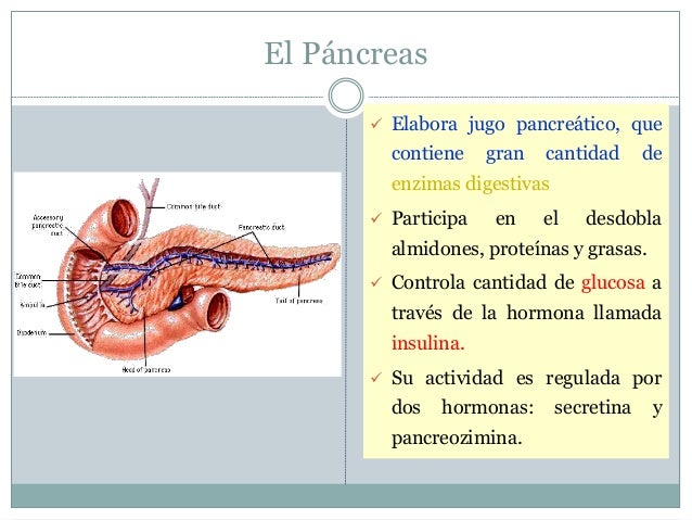 Sistemas Corporales - Nutrición y Salud
