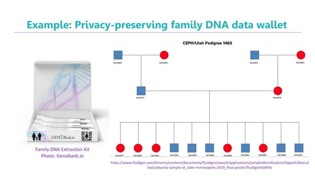 DNA Privacy Laws - Daniel Uribe | PPT