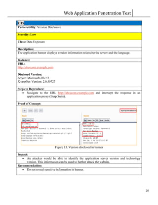Web PenTest Sample Report | PDF