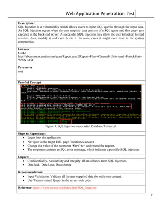 Web PenTest Sample Report | PDF
