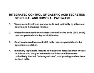 01.08.09: Stomach | PPT