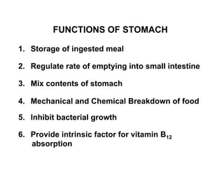 01.08.09: Stomach | PDF