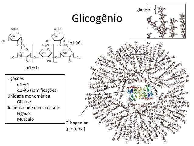010 apostila polissac_2011_2_002