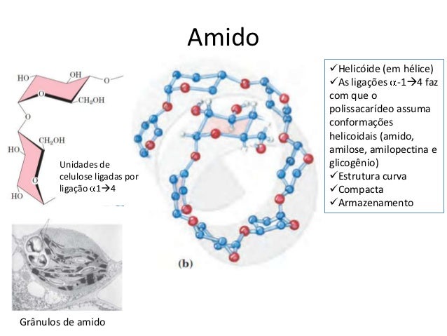 010 apostila polissac_2011_2_002