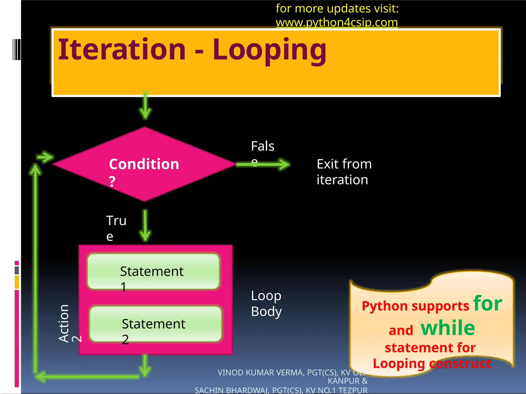 010 Class 11 Computer Science Condition usinf IF | PPTX