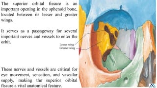 Cranial Nerve 5/ Cranial Nerve 5/ Cranial Nerve 5.pdf