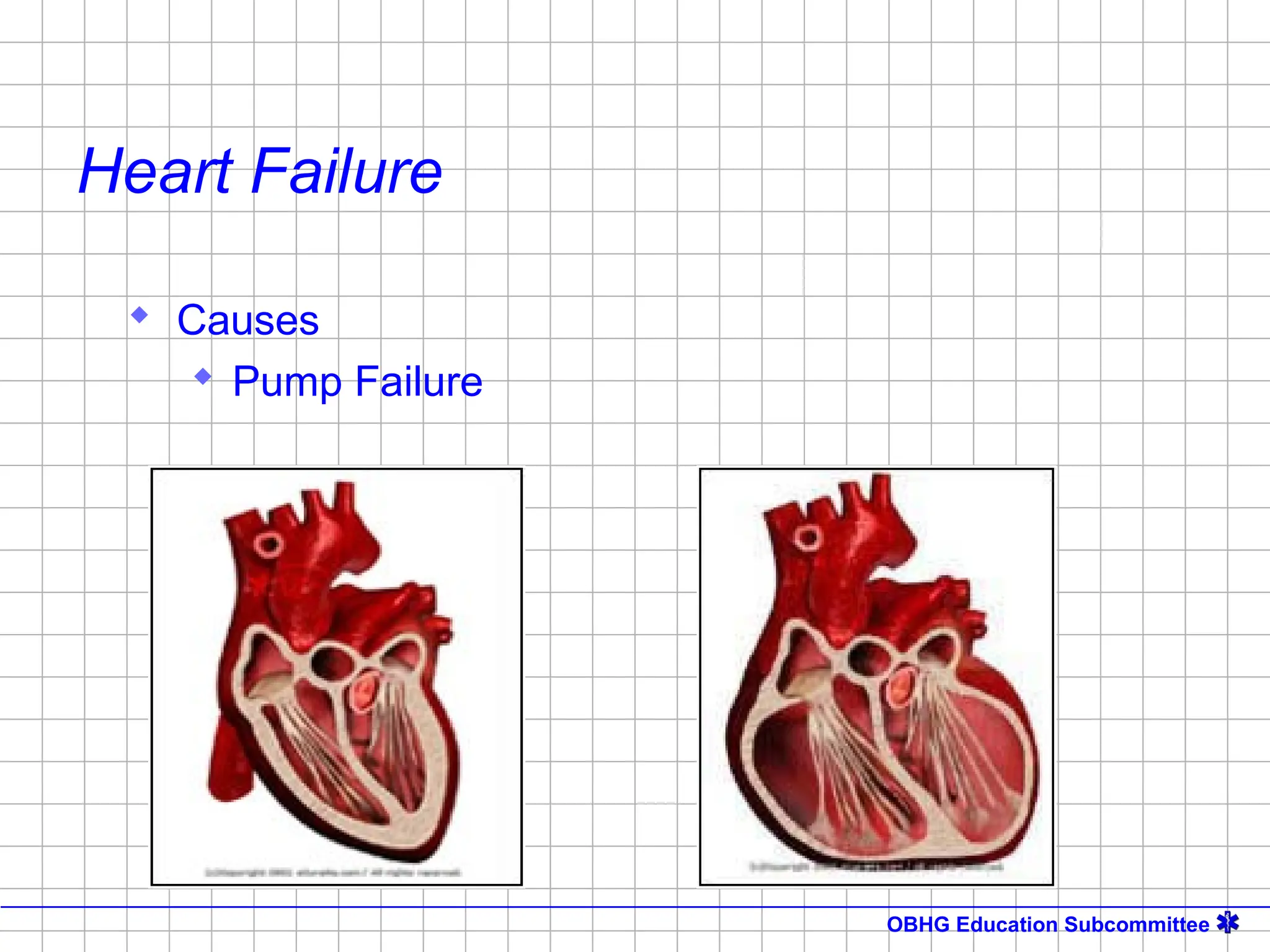 010_OBHG_Cardiology_-11-2006.ppt for reference | PPT