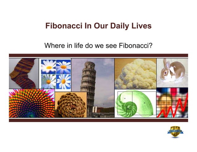 010_TheSecrets_Of_Fibonacci.pdf