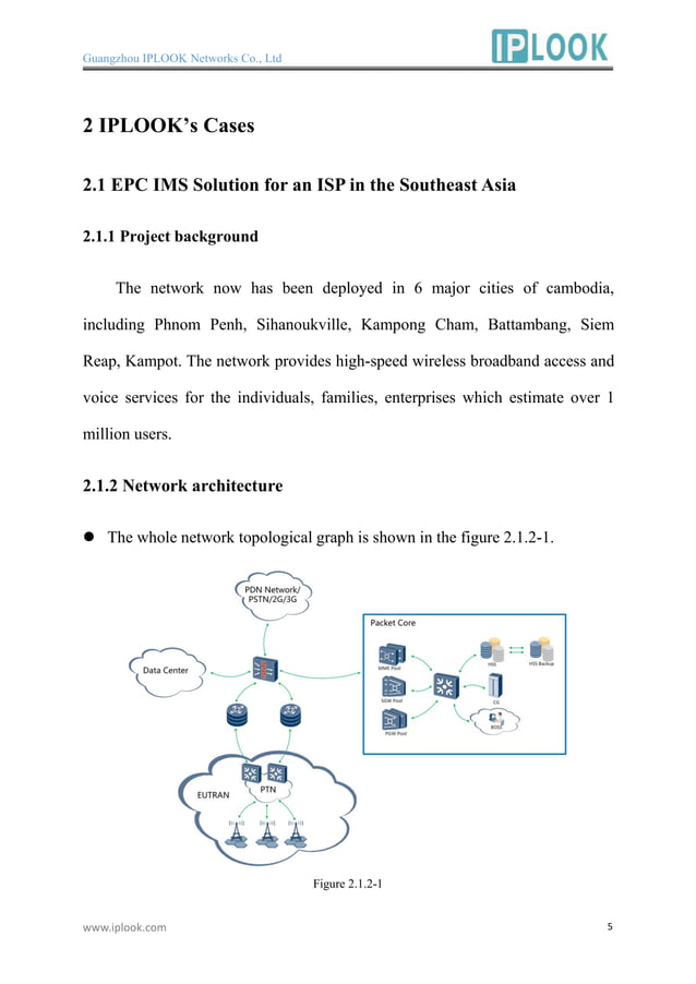 IPLOOK global cases | PDF
