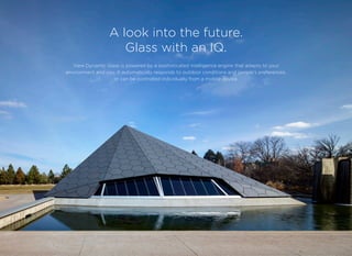 View Dynamic Glass brochure | PDF | Interior Decorating | Home & Garden