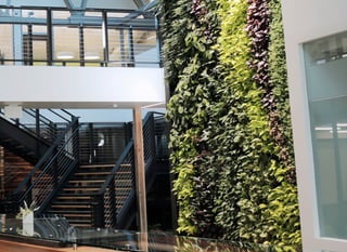 View Dynamic Glass brochure | PDF | Interior Decorating | Home & Garden