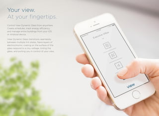 View Dynamic Glass brochure | PDF | Interior Decorating | Home & Garden
