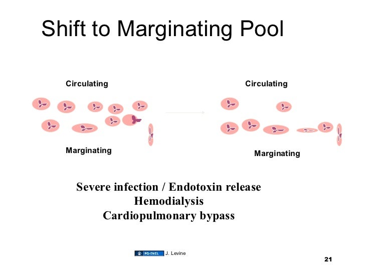 01.12.09: Myeloid Cell Disorders