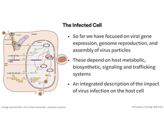The infected cell | PDF | Infectious Diseases | Diseases and Conditions