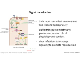The infected cell | PDF | Infectious Diseases | Diseases and Conditions