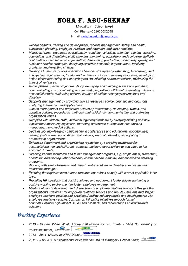 CAREER_PROFILE_Noha_Farouk | PDF | Human Resources | Business
