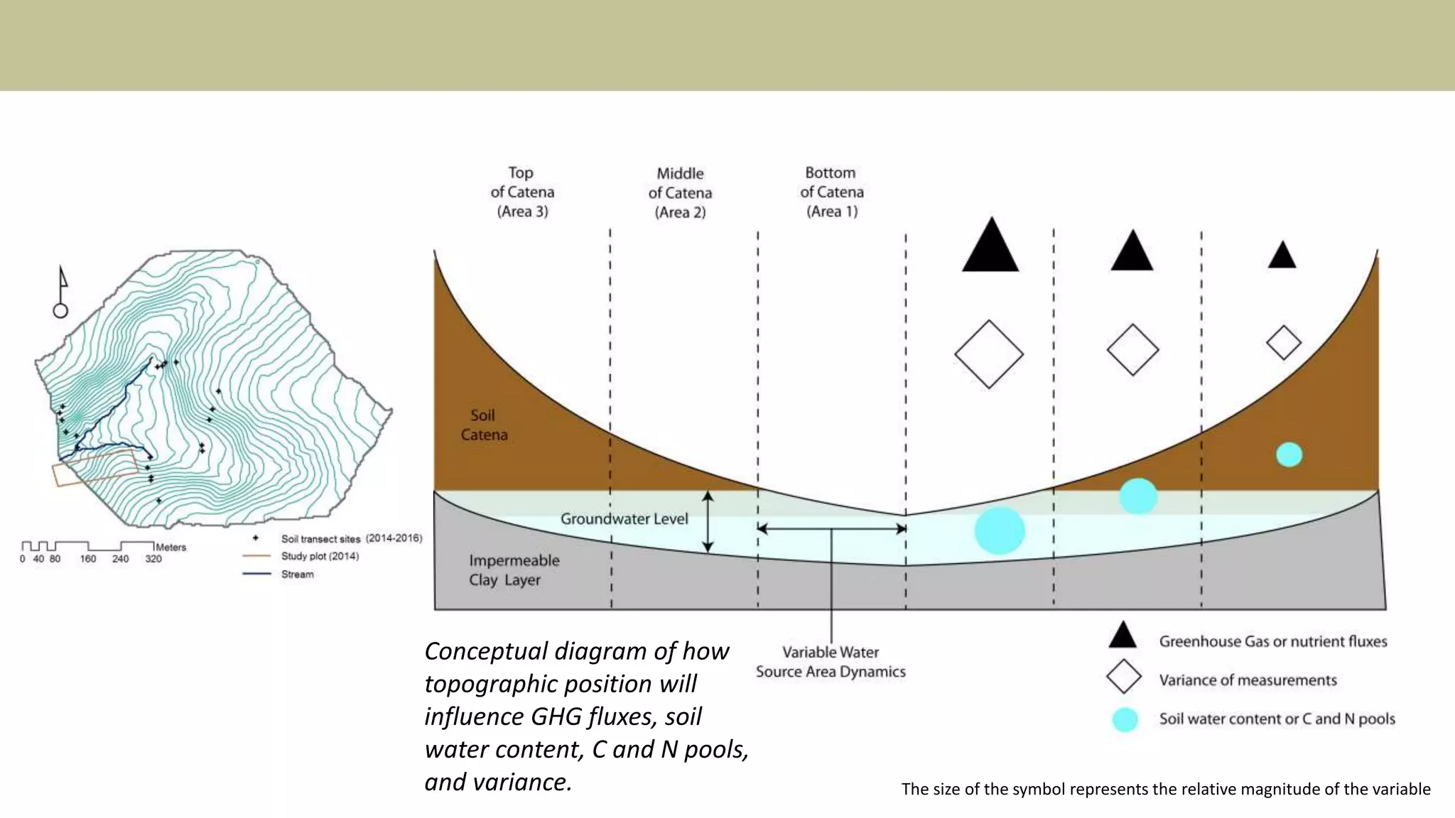 Coupling Solid-Aqueous-Gas Phases Of Carbon And Nitrogen Across ...